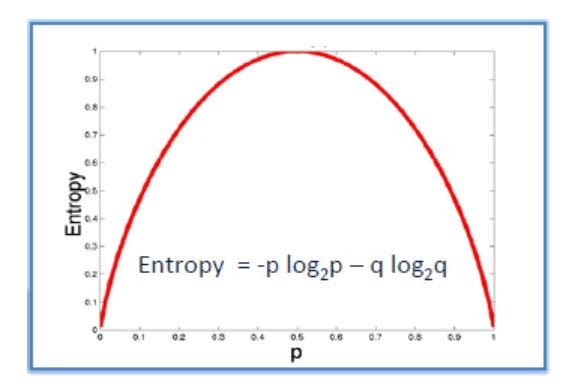 Understanding Decision Trees. Decision trees are popular… | by ...