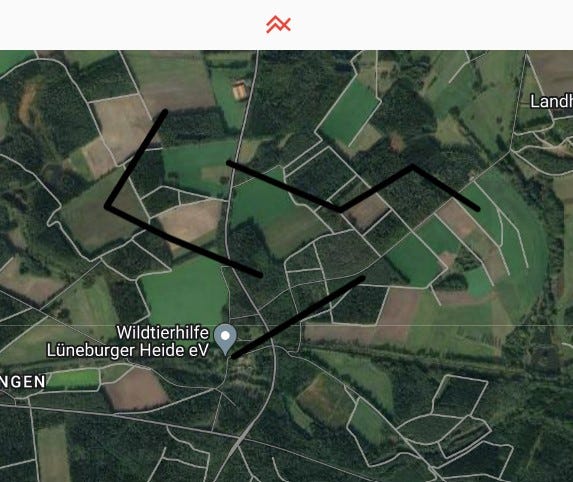 Polylines in Google Maps with Flutter Web | by Mat | Medium