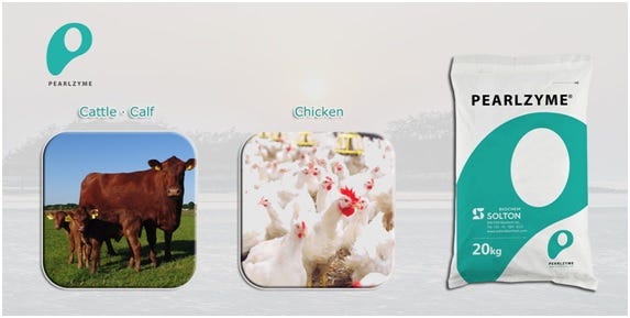 Anti-Inflammatory Enzymes and Enzyme Feed Additives | Pearlzyme Inc ...