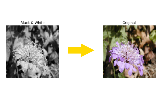 Colorizing black & white images with a Deep Neural Network | by Boris ...