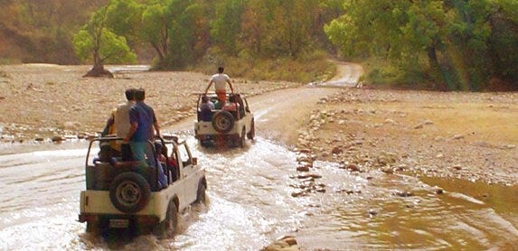 Trek to Mystic Corbett Waterfalls | by Jim's Jungle Retreat | Medium