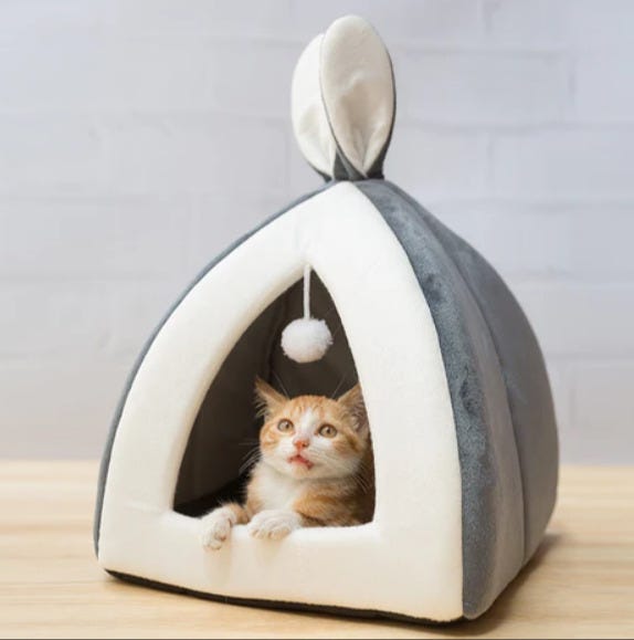 Spoil Your Furry Friend with the Cutest Rabbit-Eared Cat House from ...