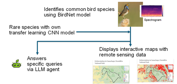 Smart Birdwatching: AI-Based Bird Species Recognition and Ecotourism Support in Remote ...