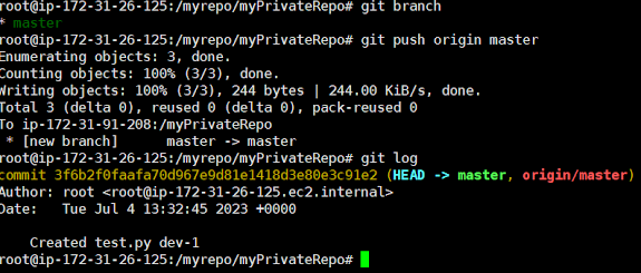 Step By Step Guide Create Git Private Server For Password Free Code Pushing In Private 9288