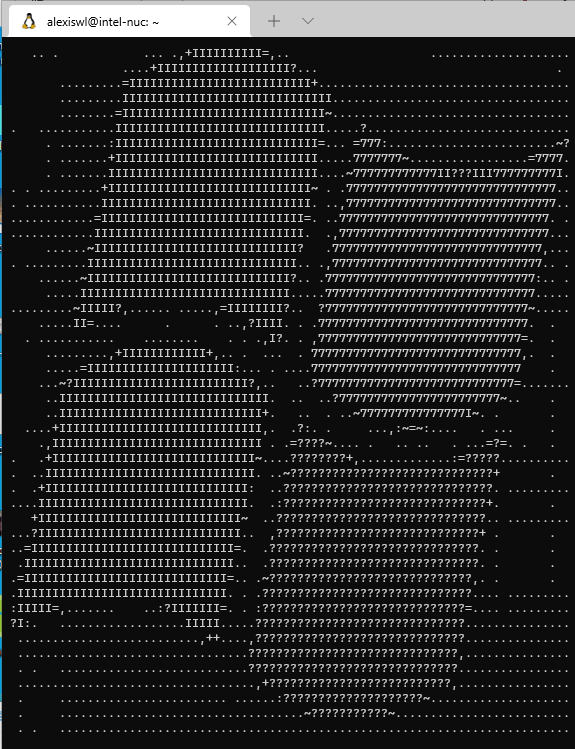 Getting started with WSL2. Using Windows Terminal, enabling… | by ...