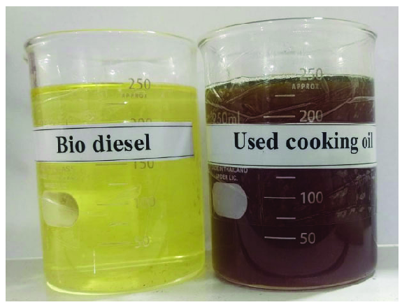 How Waste Cooking Oil Is Powering a Greener Future -One Drum at a Time ...