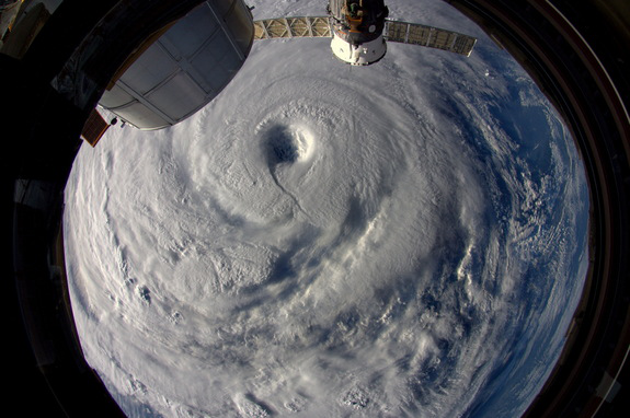 Typhoon Tip