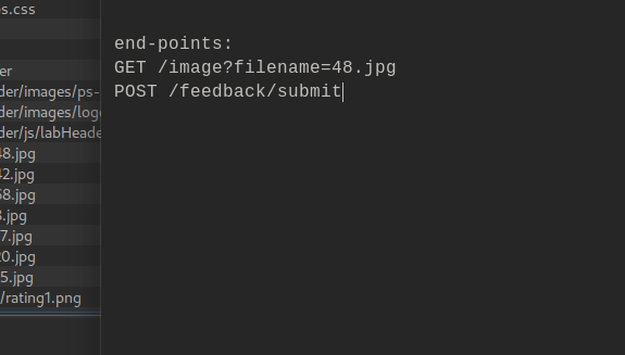 Exploiting Blind Command Injection Output Redirection By Kaizen Cyberinquisitor Aug 2024