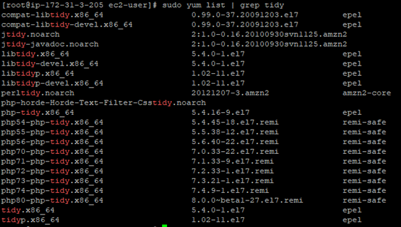 Install PHP-tidy package on Amazon Linux 2 Machine. | by NetraK | Medium