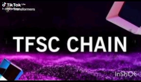 TFSC: Revolutionizing Transaction Speed and Efficiency | by Tonia ...
