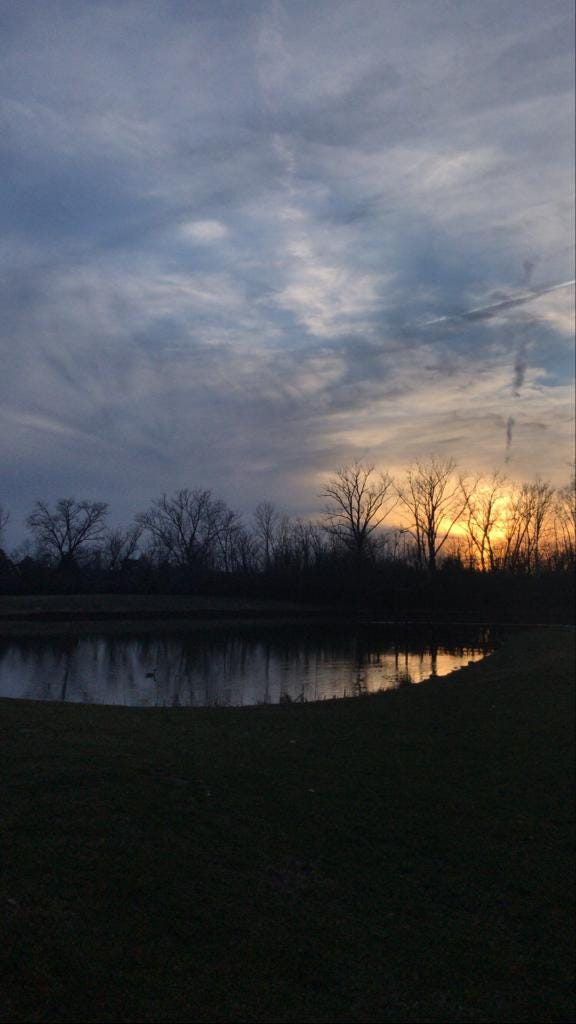 Columna vertebral I: respuesta a Sylvia Plath | by Emy Osorio | Medium