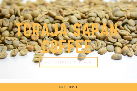 Toraja Coffee Beans Supplier — Arabica Toraja Coffee — Indonesia Coffee ...