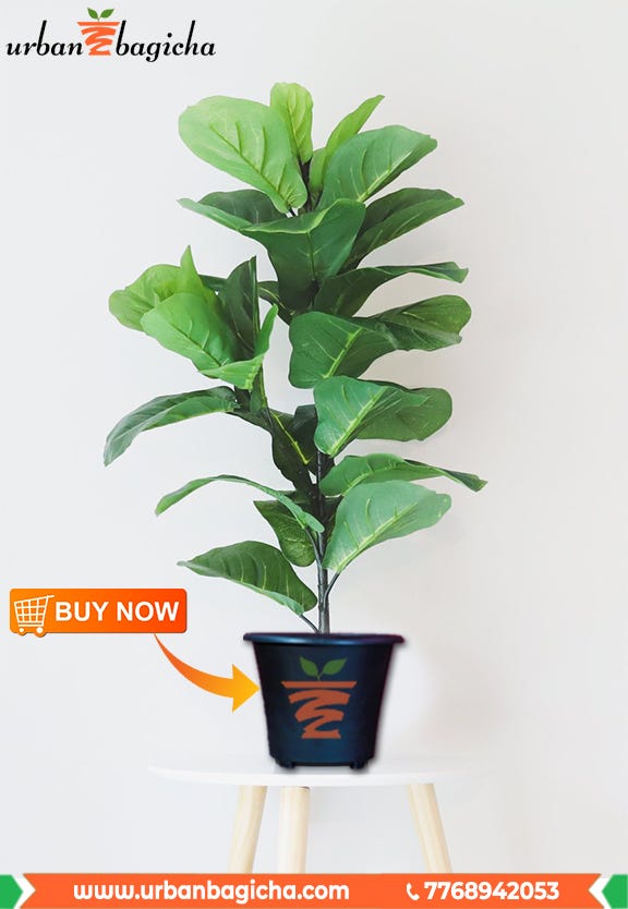 Buy Online Garden Pots for Plants|Flower Pot|Planters|Kundi|Pune India ...