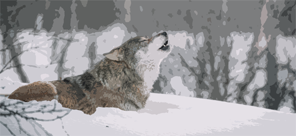 The Dogs and I Walked Our Woods,. by Gretchen Primack | by John ...