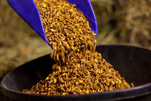 Benefits of Feeding Beet Pulp to Horses | by ...