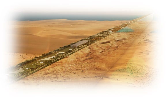 Neom’s Financial Mirage: A Tale of Ambition, Profit, and Peril | by ...