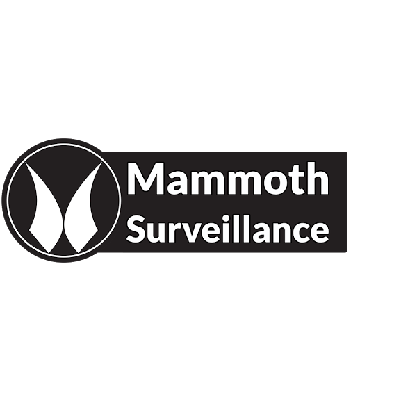 Ways To Market Your Security Services Business To Reach Your Goals | by ...