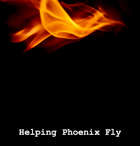 Helping Phoenix Fly. It has always been my intention to… | by Tom ...
