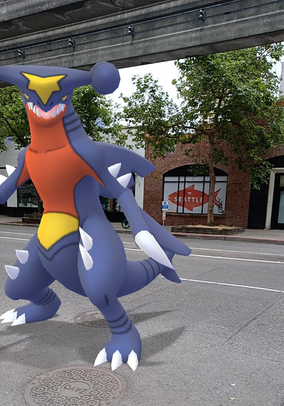 Next Stop Seattle & Go Fest 2022. Pokémon Go Obsession #5: How I Flew ...