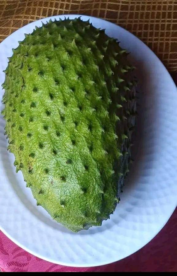 Exploring Jamaican Foods: Soursop (Guanabana) Fruit. | by Njoku Uzochukwu C | May, 2023 | Medium