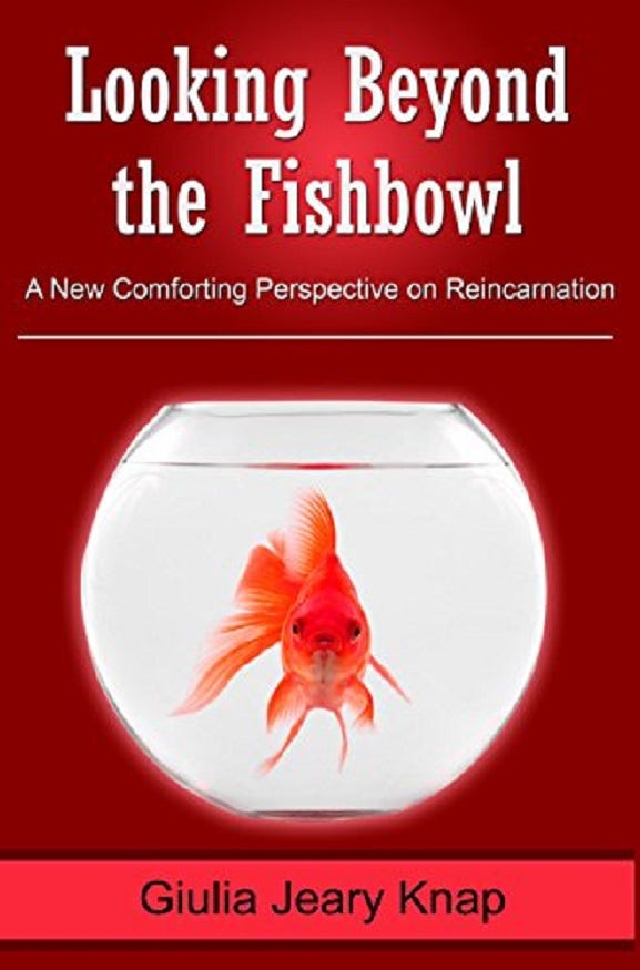 A Review of Beyond the Fishbowl — A New Comforting Perspective on ...