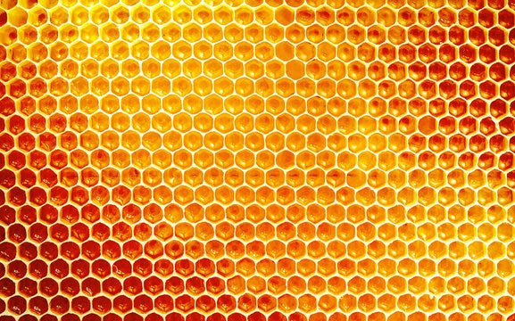 Key Concepts in Hexagonal Architecture | by Lamjed Gaidi | Mar, 2025 ... Key Concepts in Hexagonal Architecture | by Lamjed Gaidi | Mar, 2025 ...
