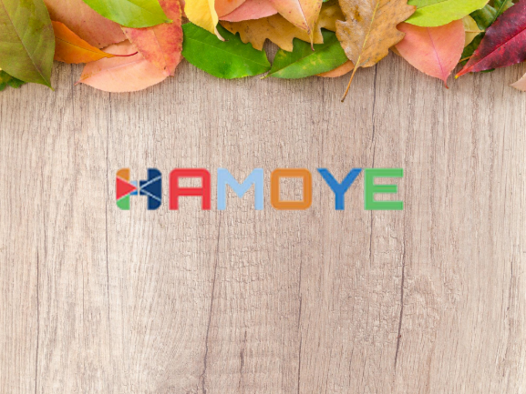 5 Lessons From My Remote Data Science Internship at Hamoye | by Iwuozor ...