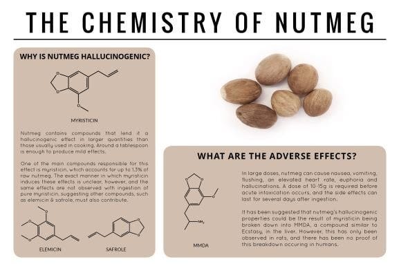 Nutmeg: The Surprising Hallucinogen in Your Spice Rack | by Flori Bercus | Medium