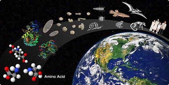 The physics of entropy and the origin of life.. | by Kashaf Tahreen ...