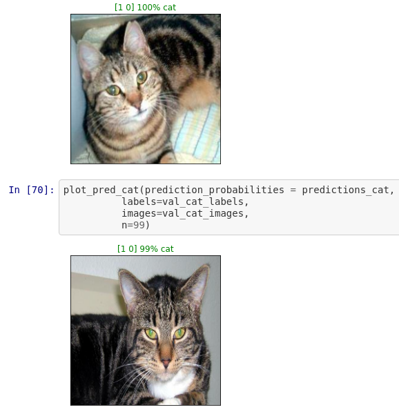 What About a 6-Week Machine Learning Project? Beginners Friendly Cat vs ...