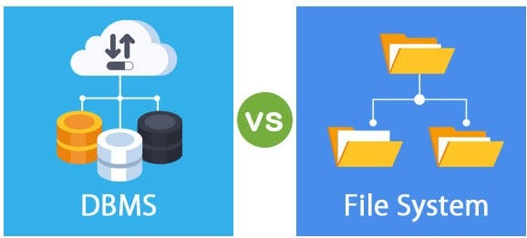Differences between File Management System and Database Management ...