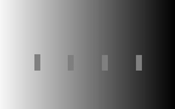 Summary of the Paper: “Color Sequences for Univariate Maps: Theory ...