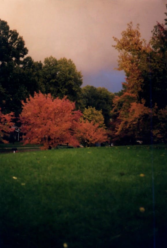 Afternoon in Late October | by Collin Scott Myers | Medium