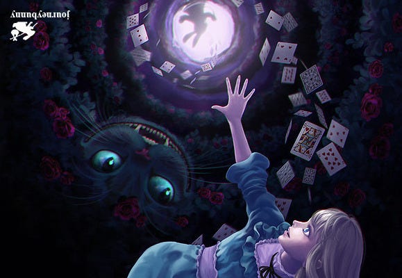 Falling Down The Rabbit Hole