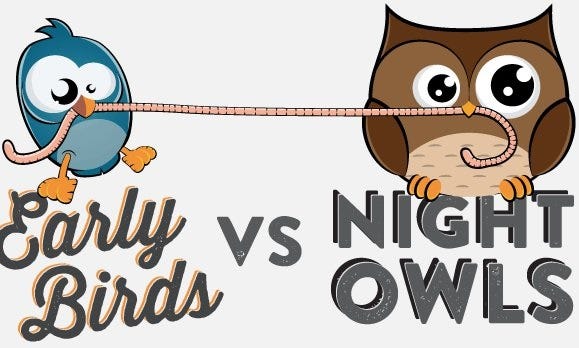 Morning Person or Night Owl: Which One Is More Successful? - KnockStart ...