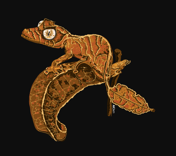 Satanic Leaf-tailed Gecko: Least Concern | by AIOxm | AIOxm Blog | Medium