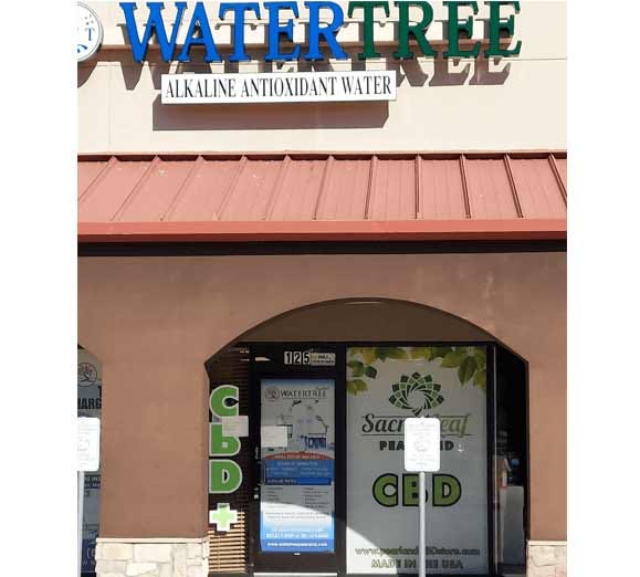 Looking For Dream Tree Water - Water Tree Pearland - Medium