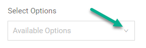 Select Arrow Icon