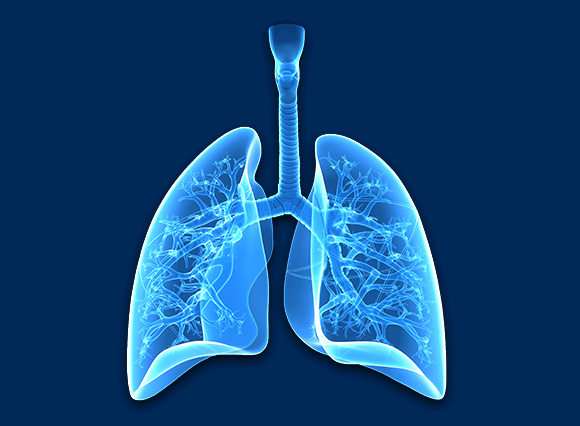 What is Pulmonology? - Ananya Kashyap - Medium