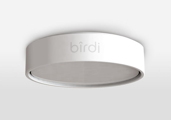 Birdi: An App That Makes Life Easier While Saving Them, Too | by Ben ...