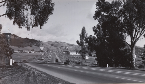 Marin’s Freeway History Collection in the Anne T. Kent California Room ...