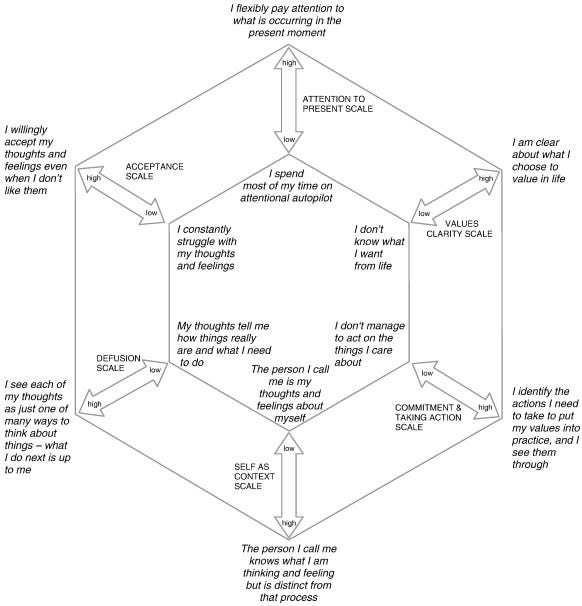 A Look at Focus Areas of Acceptance and Commitment Therapy | by Dr ...