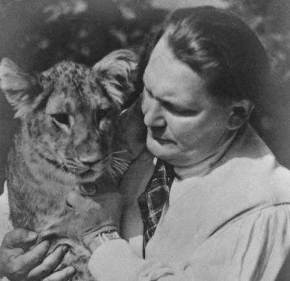 The Hermann Goering’s Lions | Short History