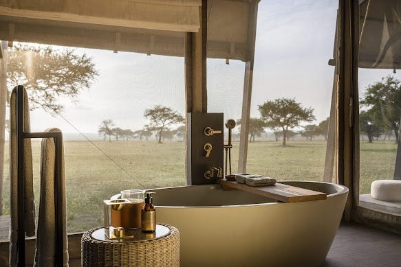 Solo Traveler’s Guide to African Safaris: Adventures for the Lone ...