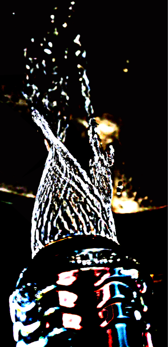 Poena ( The Heart of the Giver). I have poured out my heart into… | by ...