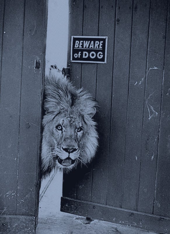 The Three Truths That Will Set You Free | by Traver Boehm | Jul, 2025 ...