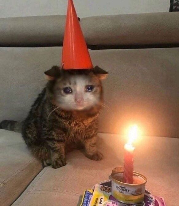 Bitter pancakes for breakfast. How can nyummy pancakes become bitter? | by Yna Zju | Sep, 2024 ...