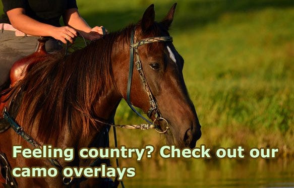 Discover the Best Horse Tack for Comfort and Performance | Two Horse ...