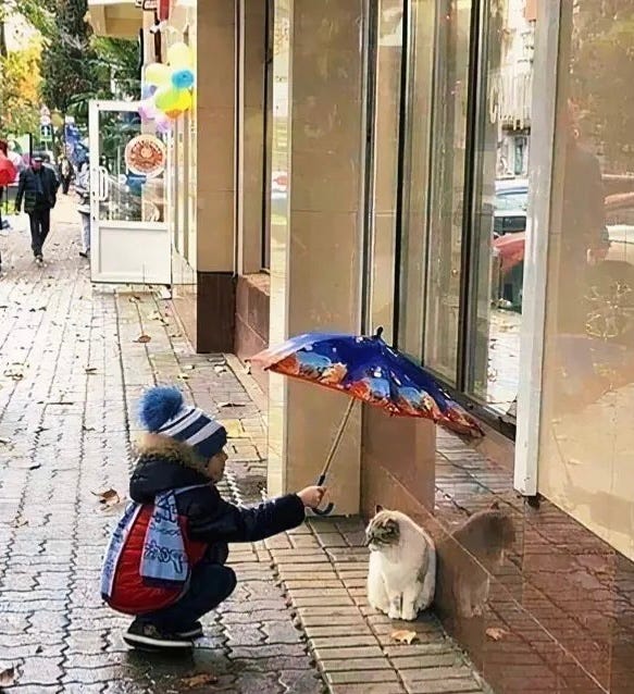 The Joy of Giving: Exploring the Benefits of Acts of Kindness and ...