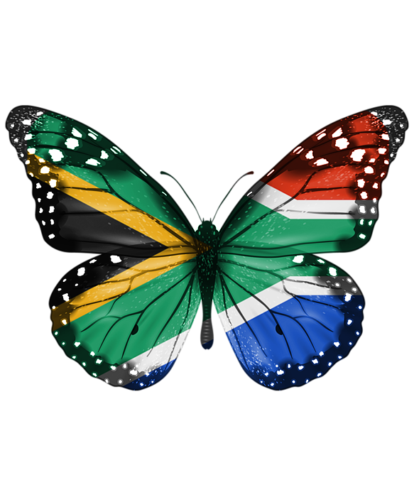 Rethinking Education for National Transformation: Lessons from History ...